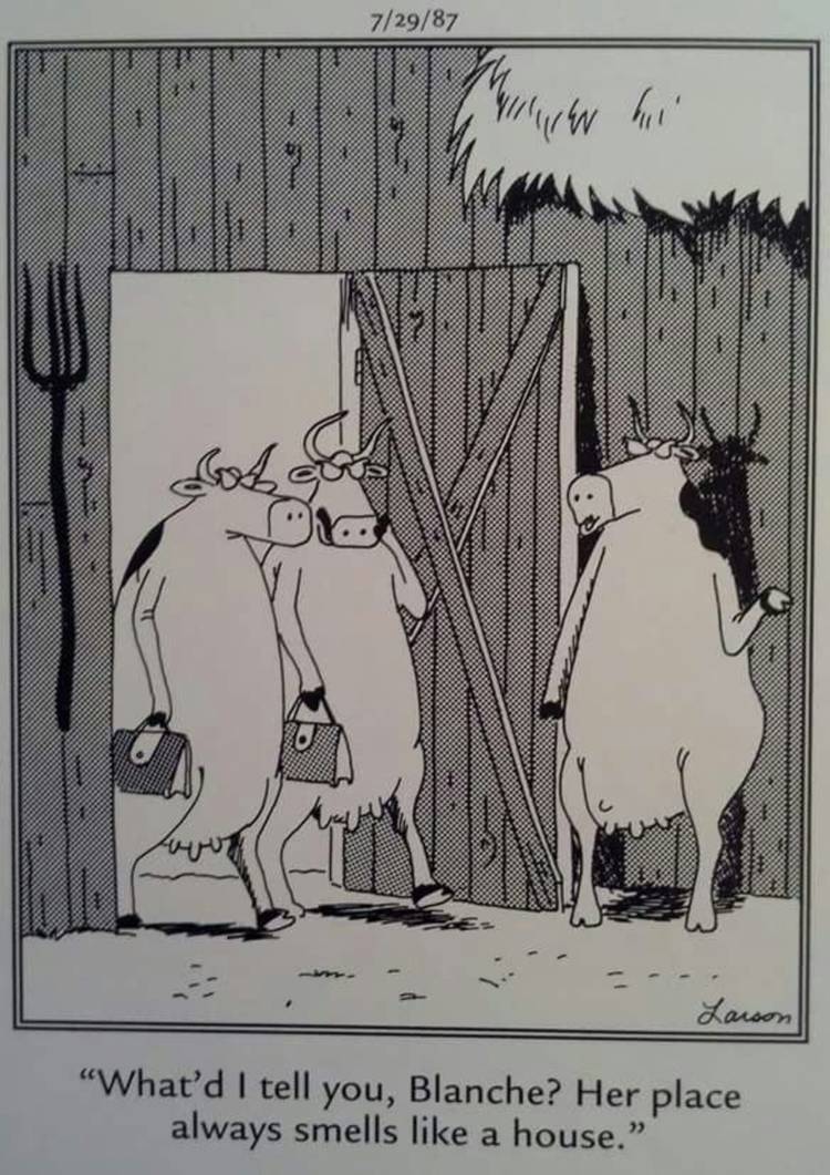 10 Outrageous Far Side Comics Featuring Anthropomorphized Animals
