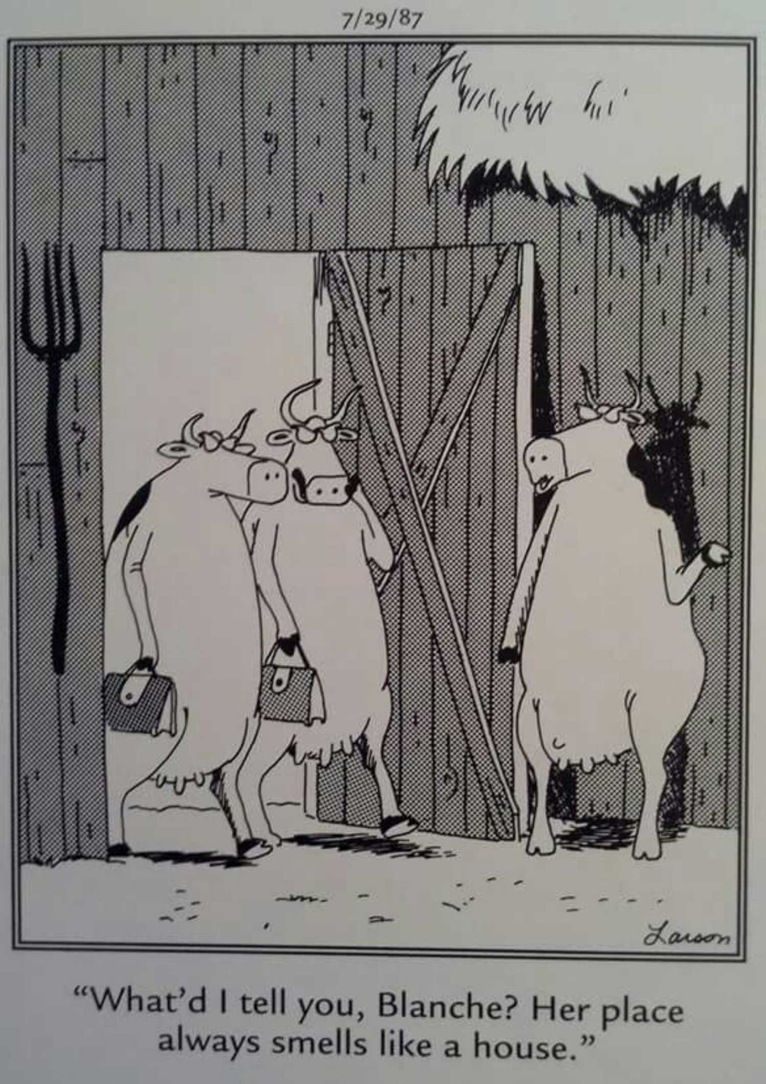 The Far Side Loves Cows, And These 10 Comics Shows Why