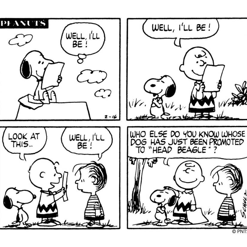 Peanuts: 10 Best Snoopy Alter Egos - From Joe Cool to the World-Famous ...