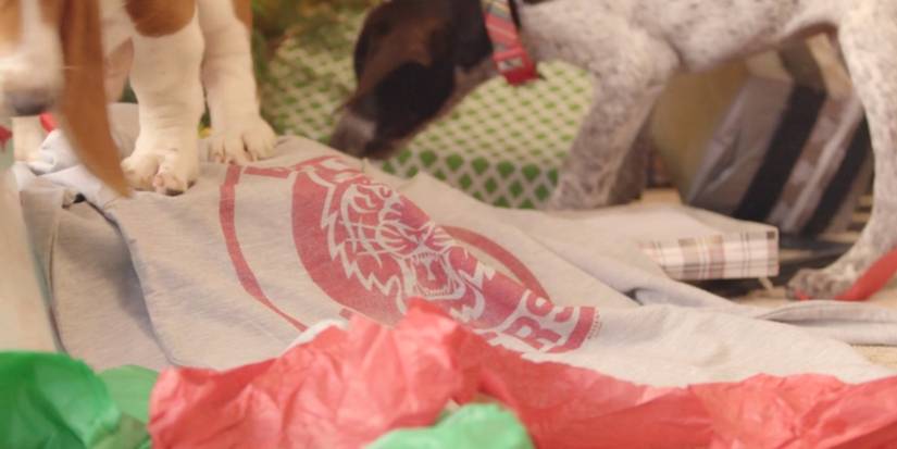 All 18 TV References In Hulu's Puppies Crash Christmas