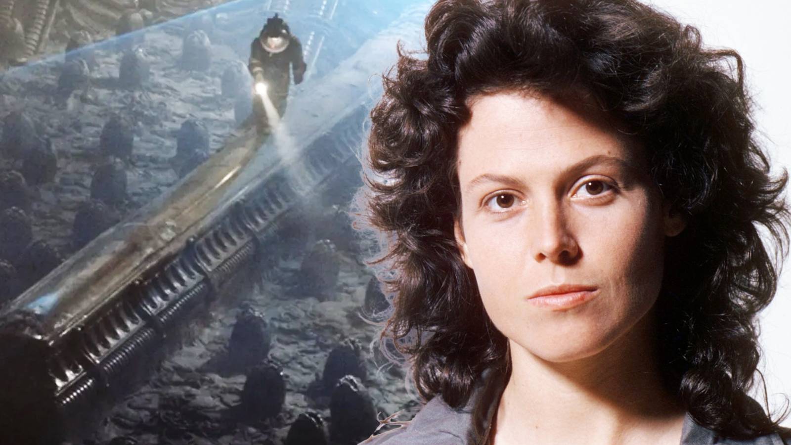 Alien Theory Explains How The Xenomorph Eggs Got On The Space Jockey Ship