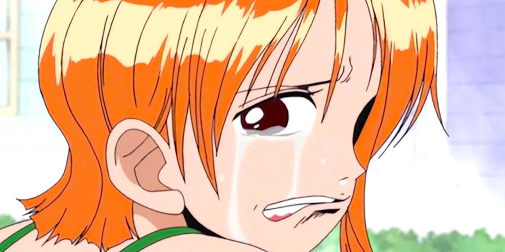 One Piece's Saddest Backstory Is Surprisingly Relatable to Many People ...
