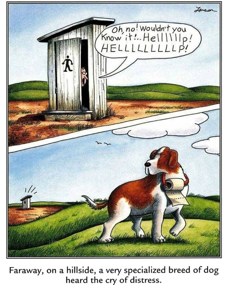 10 Funny Far Side Comics That Prove Dogs Are Man's Best Friends