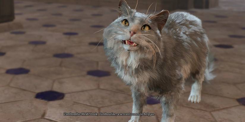 Every Cat In Baldur’s Gate 3, Ranked By Personality
