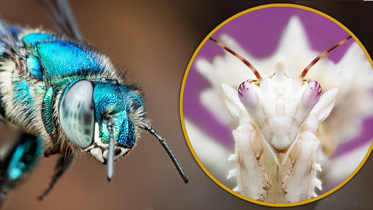 A Pixar Classic Comes To Life In Exclusive Images From National ...