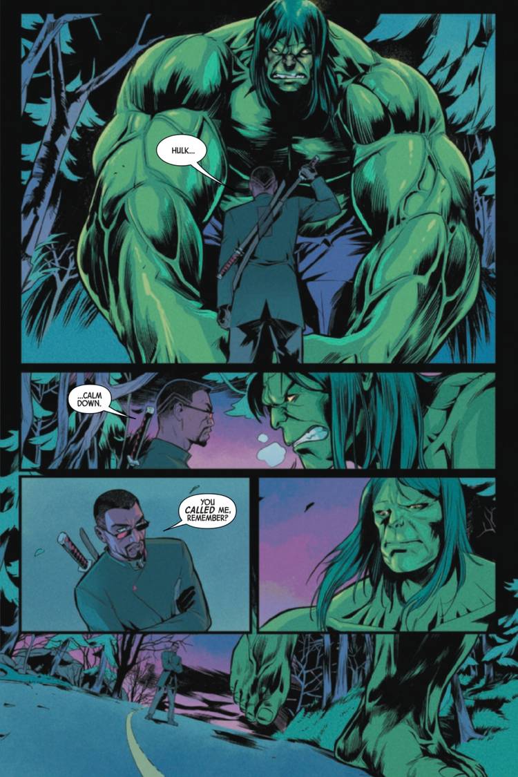 "The Hulk-Slayer": Blade's New Title Proves How Extreme His New Powers ...