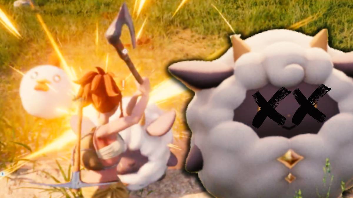 How To Get Wool In Palworld