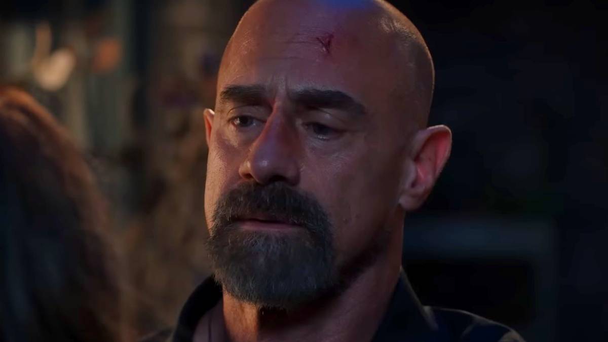 Stabler's Younger Brother Cast For Law & Order's New Season