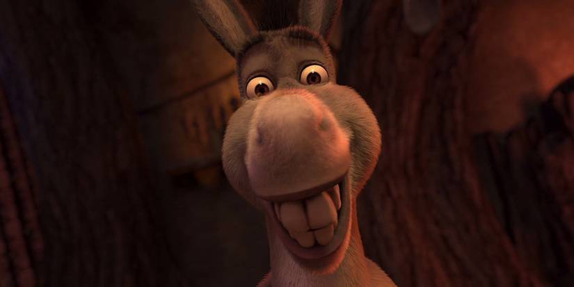 The Donkey Spinoff: Confirmation, Cast & Everything We Know