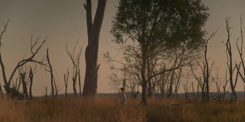 Foe Ending Explained: What That Final Hen & Junior Twist Means