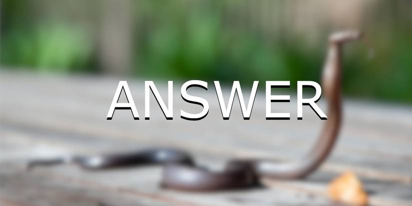 Today's Wordle Answer & Hints For January 27, 2024 (Puzzle #952)