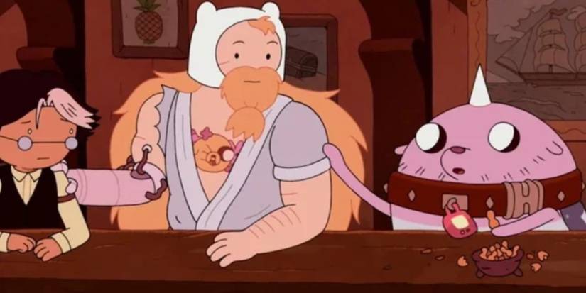 How Old Is Adult Finn The Human In Adventure Time: Fionna And Cake?
