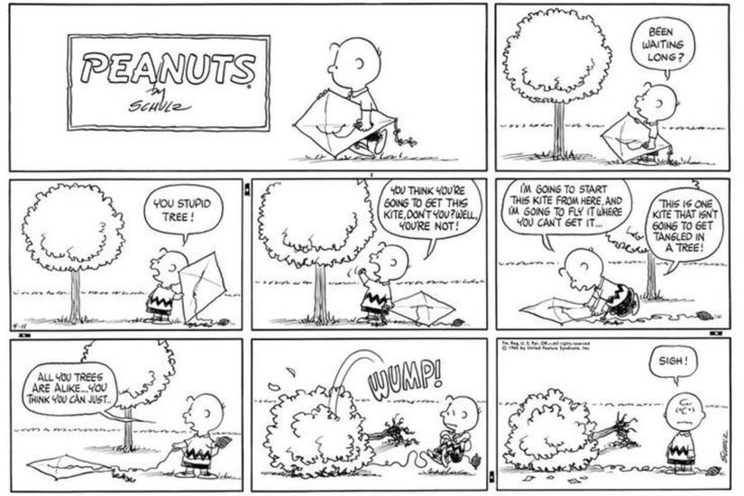 10 Funniest Peanuts Comics Where Charlie Brown Takes On The Kite-Eating ...