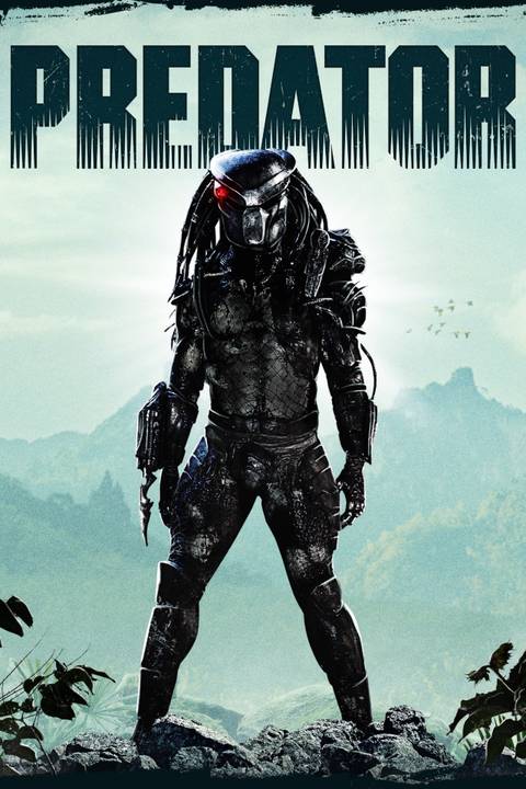 Predator Complete Movie Timeline Explained