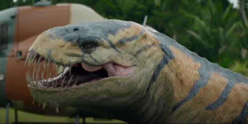 Every Real Creature In Meg 2 Explained