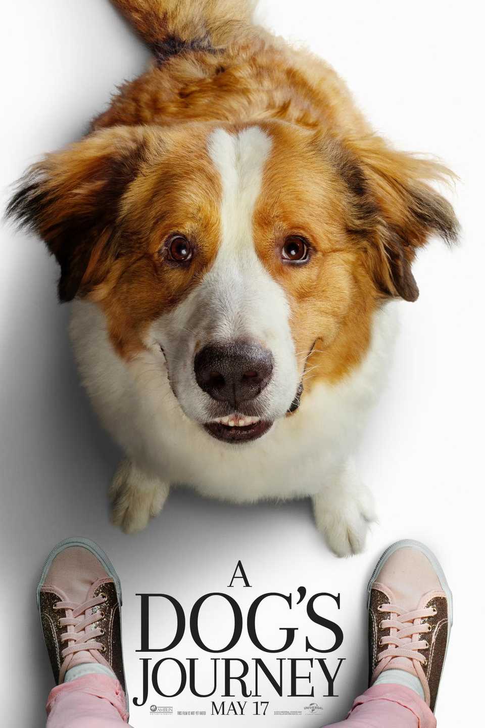 35 Best Animal Movies Of All TimE