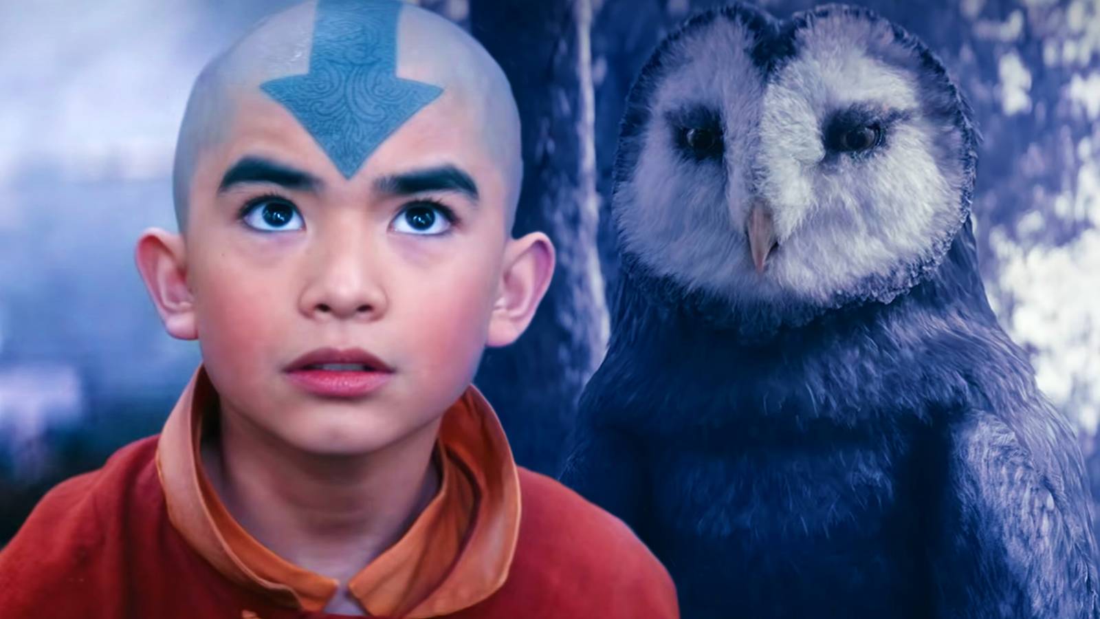 Avatar's Secret Reason For Having A Talking Owl In The Last Airbender ...