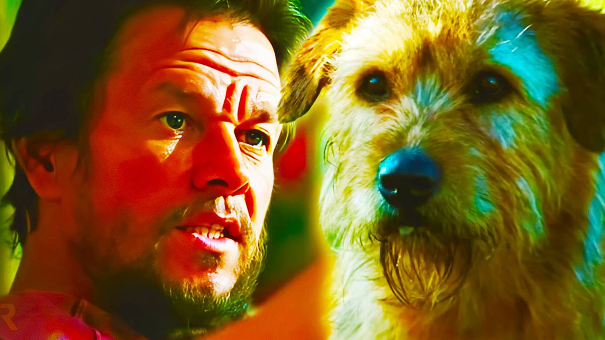 Arthur The King's True Story & Real-Life Inspiration Explained
