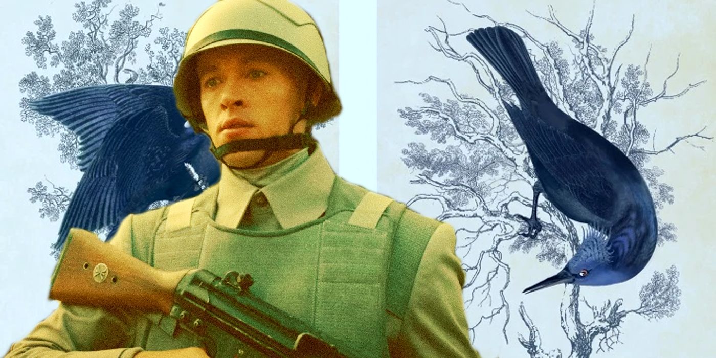 What Is A Jabberjay Vs A Mockingjay? The Hunger Games: The Ballad Of ...