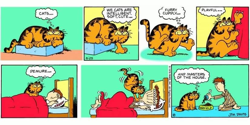10 Funniest Garfield Comics That Are 100% Relatable for Cat Owners