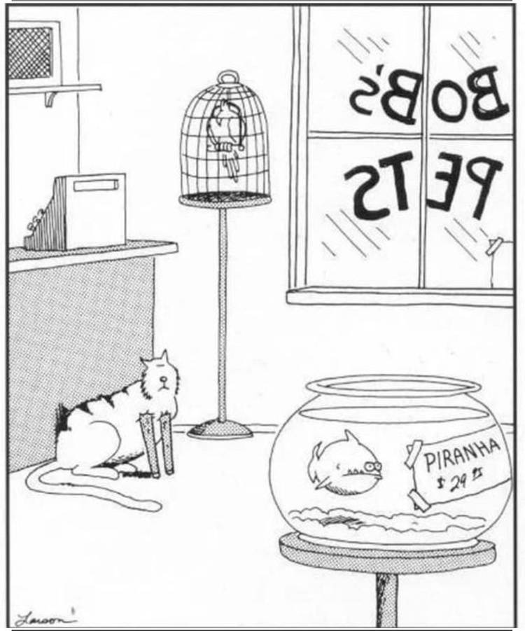 40 Funniest The Far Side Comics That Will Never Get Old
