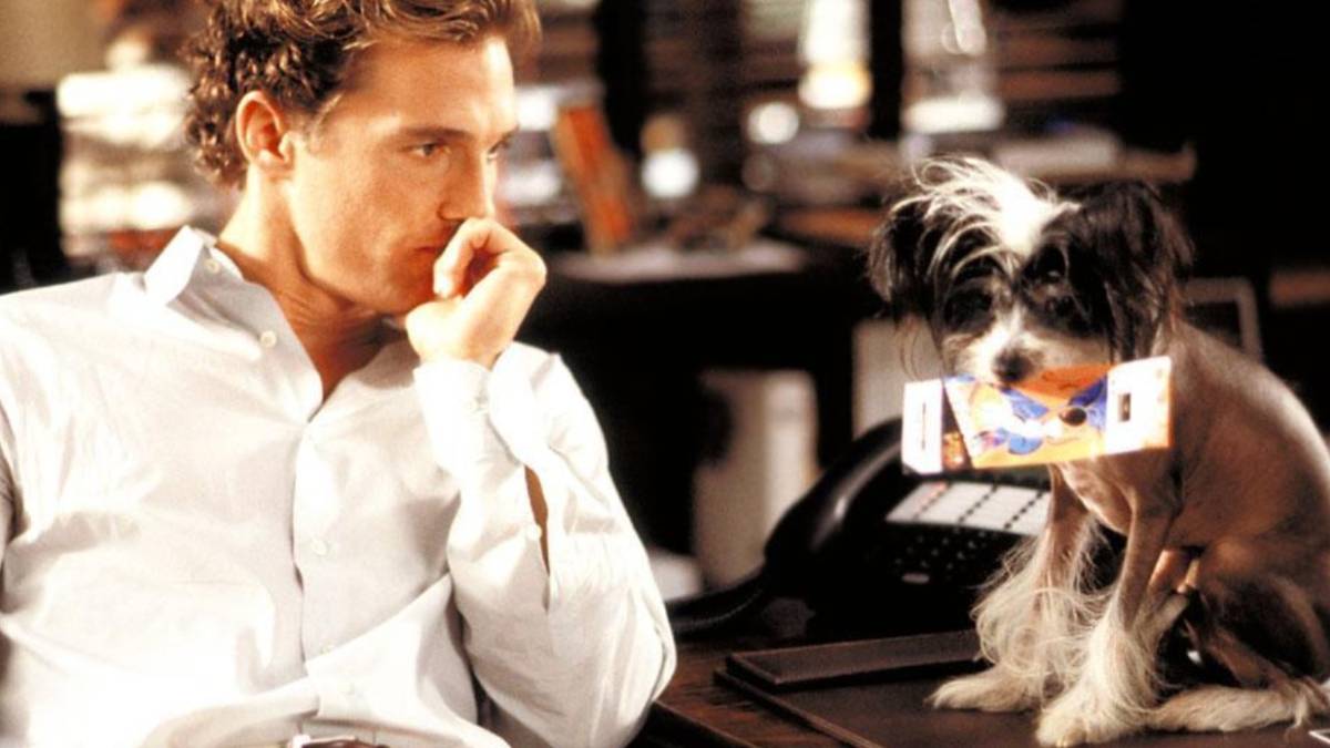 How To Lose A Guy In 10 Days: What Breed Is Krull The Dog?