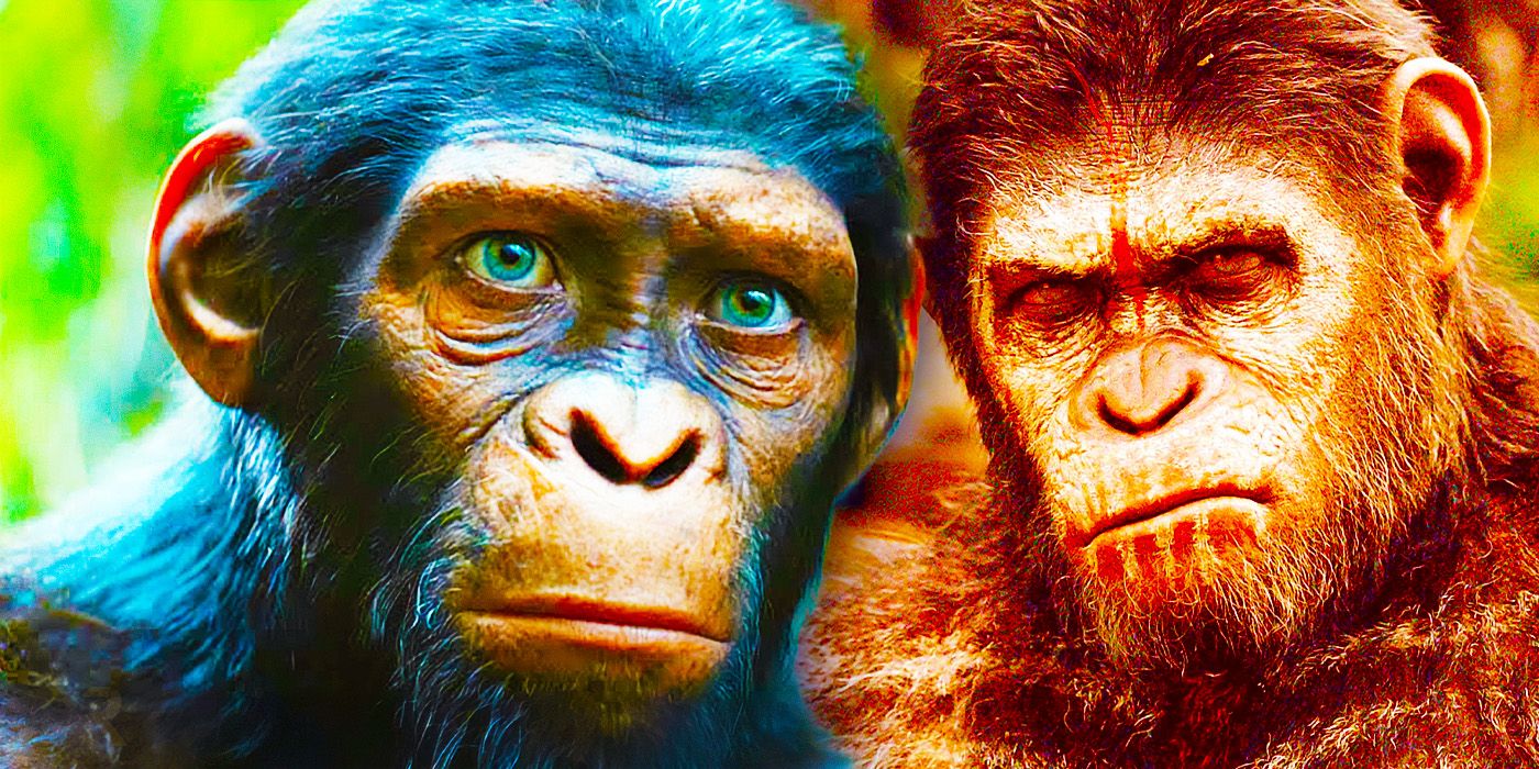 Kingdom Of The Planet Of The Apes Cast & Character Guide