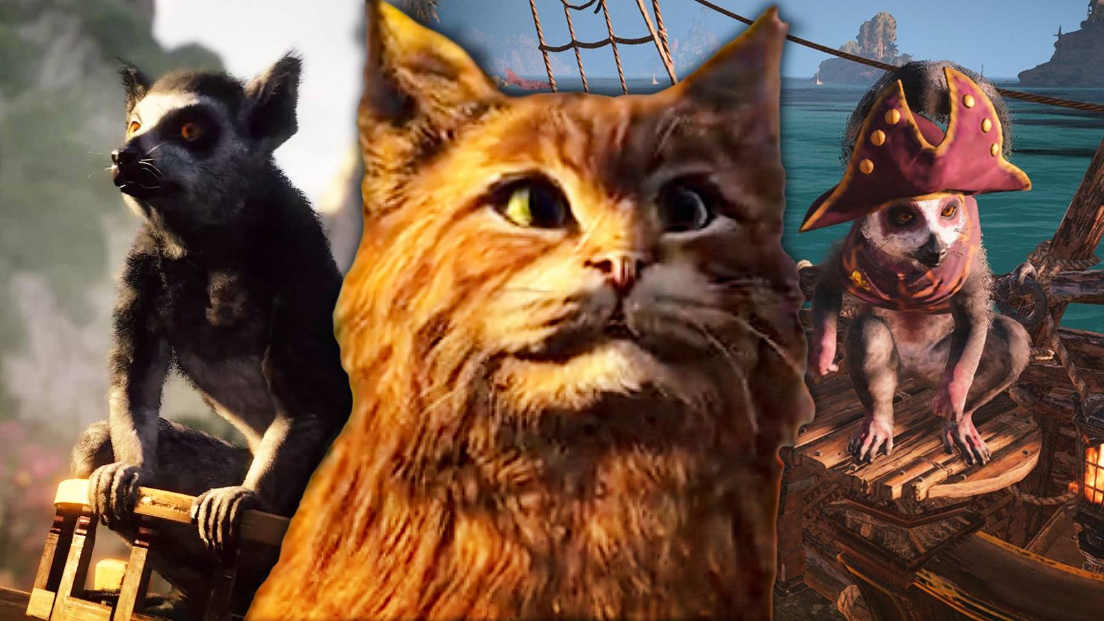 All Skull And Bones Pets, Ranked Best To Worst
