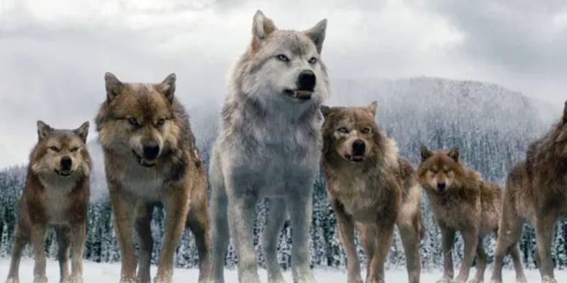 10 Twilight Scenes The Animated Remake Can Do Better Than The $3.3 ...
