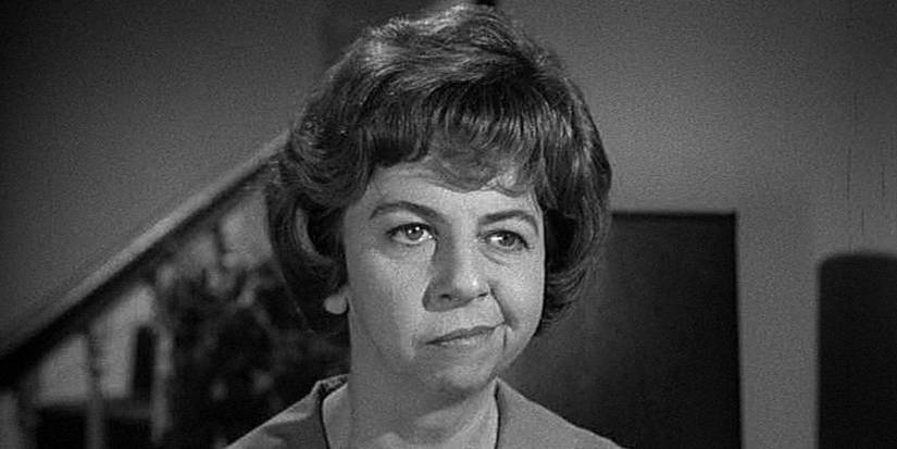 David Mandel-Bloch & The Other Bewitched Actors Who Are Still Alive