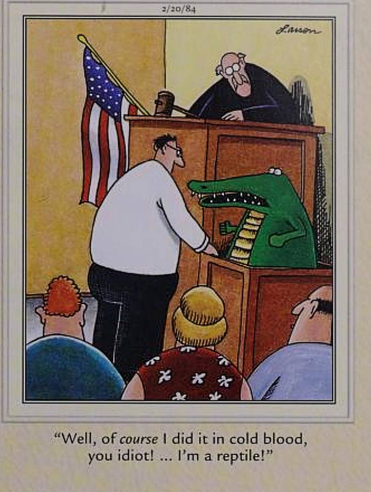 10 Hilarious Far Side Comics That Beat Bojack Horseman To the Punch