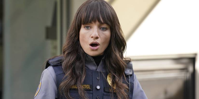 Animal Control Season 3: Everything You Need To Know