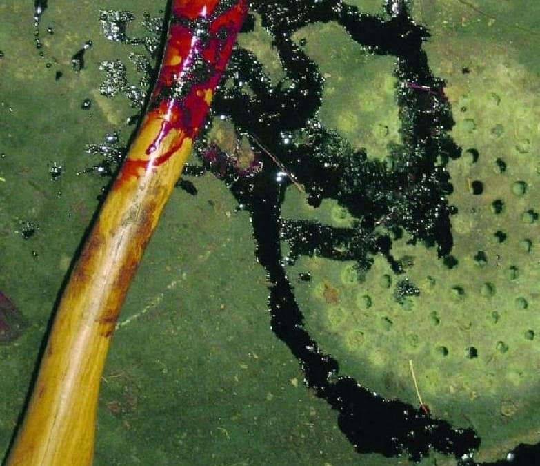 August Underground Summary, Trailer, Cast, Where to Watch and More