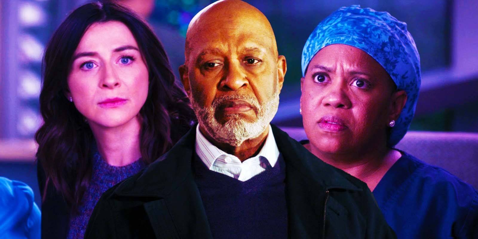 Grey's Anatomy Season 20 Just Showed Webber Reaching A Hugely Important ...