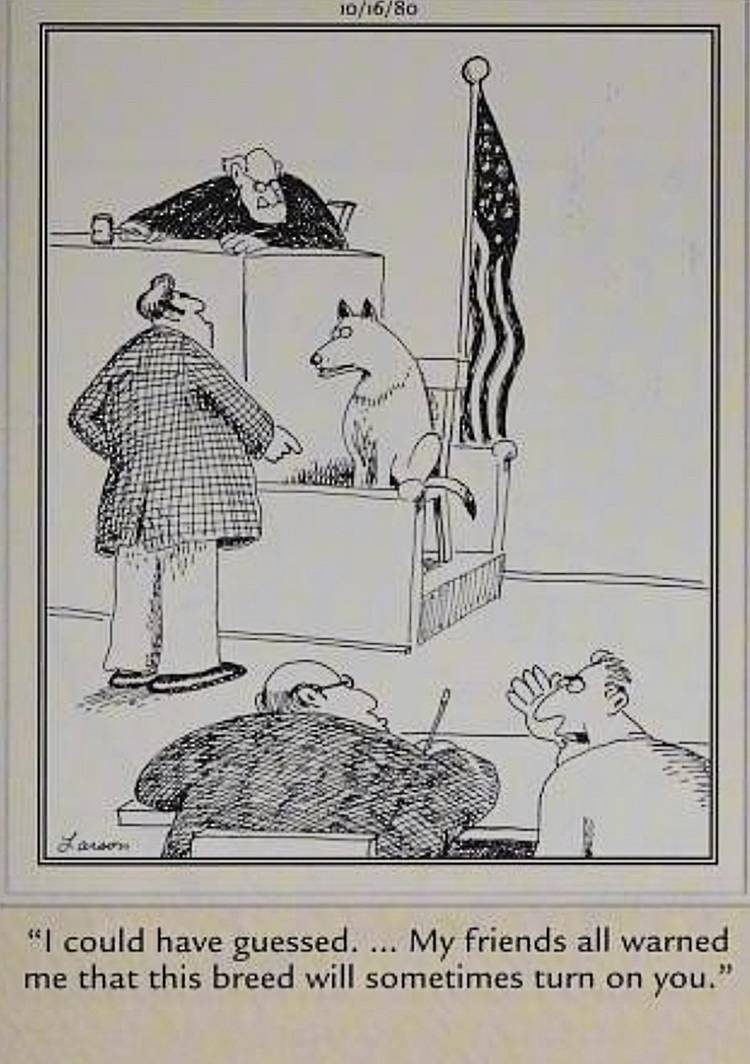 10 Funny Far Side Comics That Prove Dogs Are Man's Best Friends
