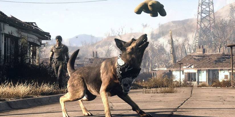 Fallout's Dogmeat Is A Good Boy, But I'm Disappointed In How The Show ...