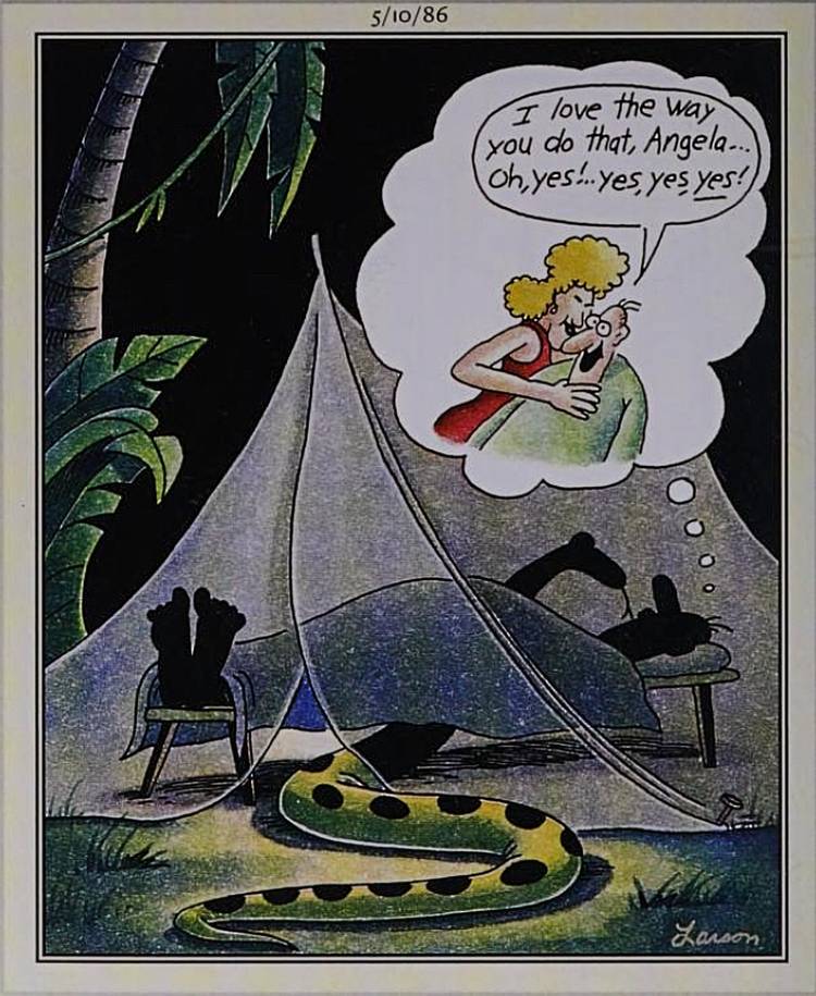 11 Far Side Comics That Prove Creator Gary Larson Was Obsessed With Snakes