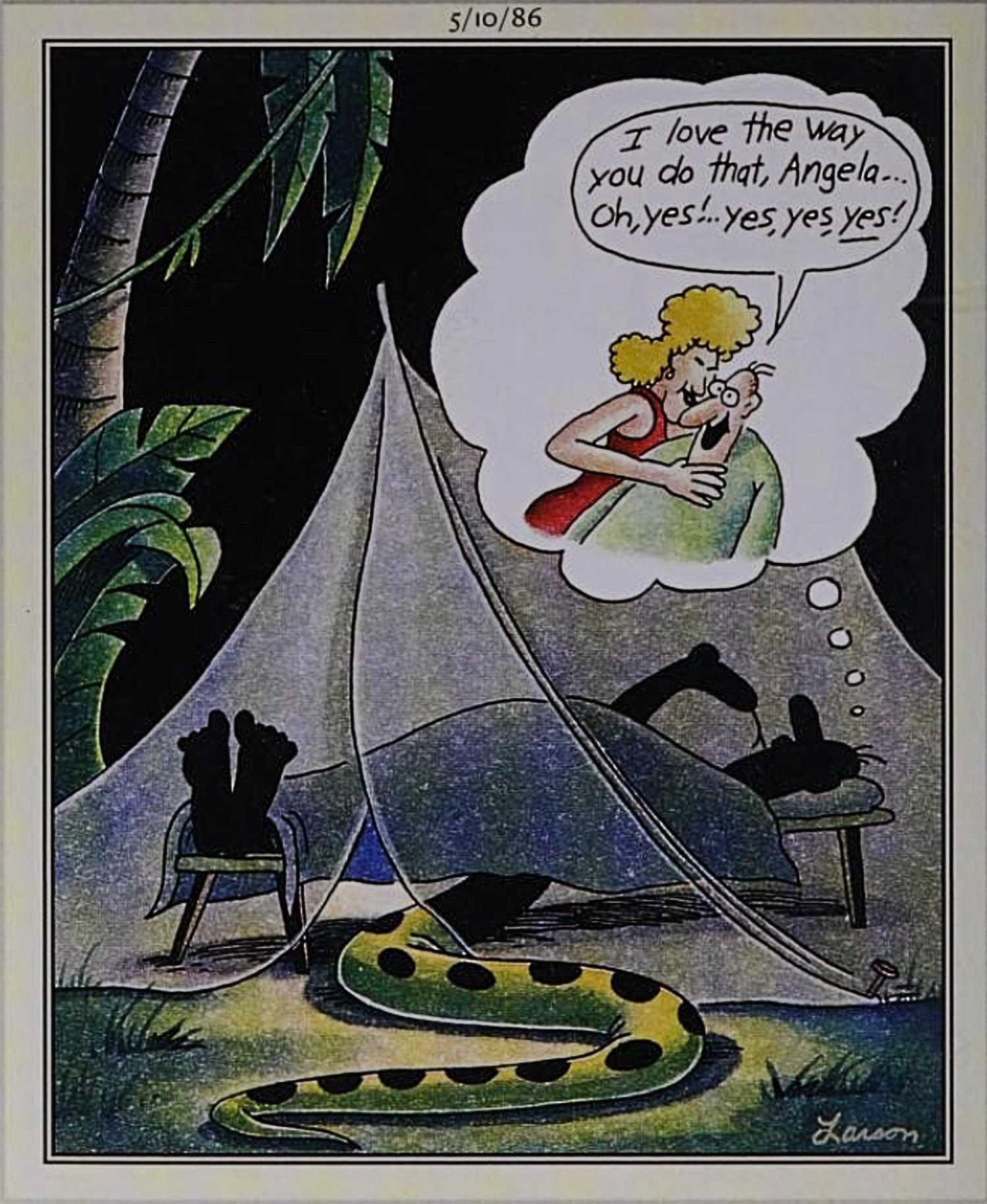 10 Far Side Comics That Will Make You Rethink Your Excitement for Summer