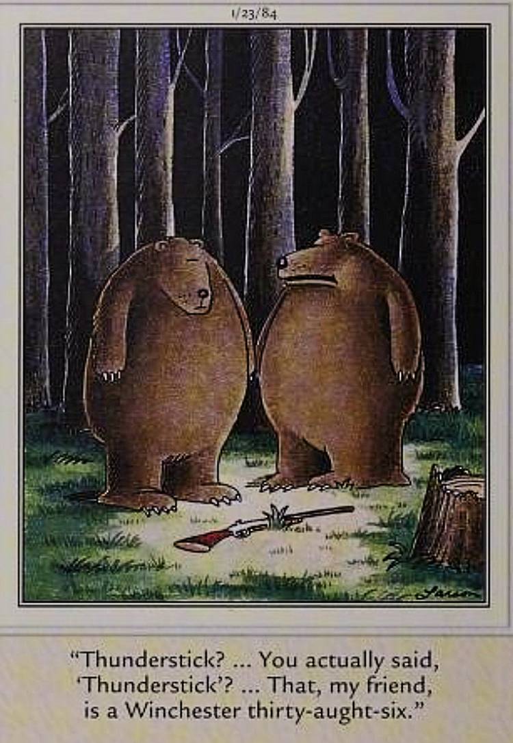 15 Wildest Far Side Comics About Bears