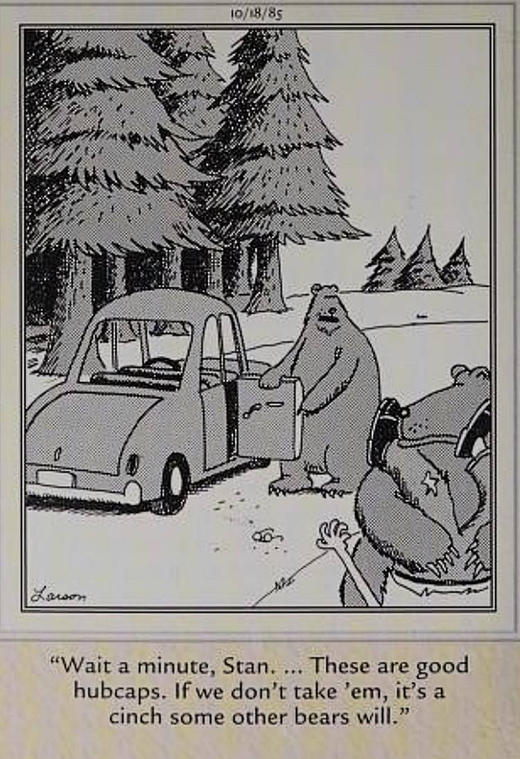15 Wildest Far Side Comics About Bears