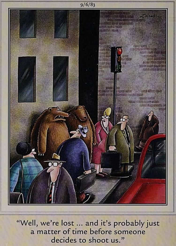 15 Wildest Far Side Comics About Bears