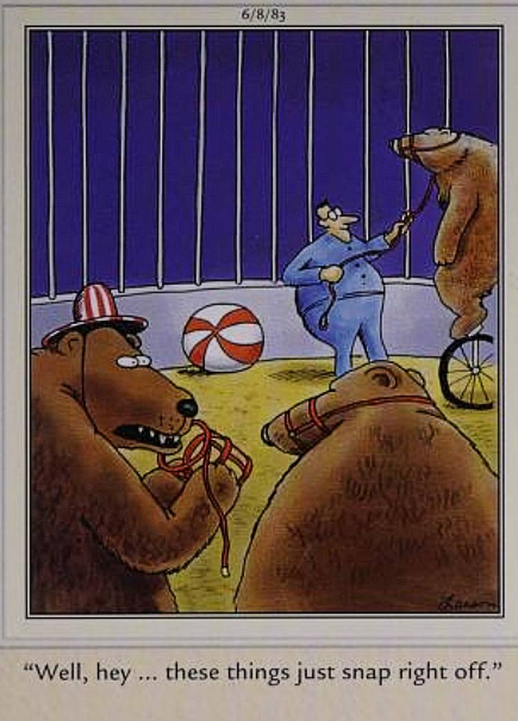 15 Wildest Far Side Comics About Bears