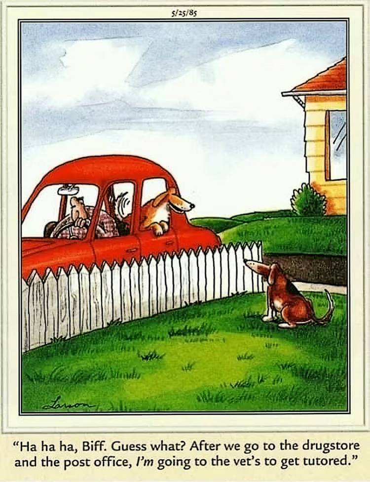 Gary Larson's 20 Funniest Far Side Comics About Dogs