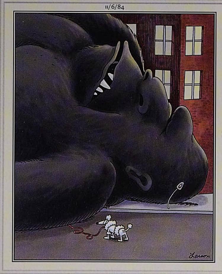 10 Far Side Comics That Take the Deadliest Joke in History Too Far