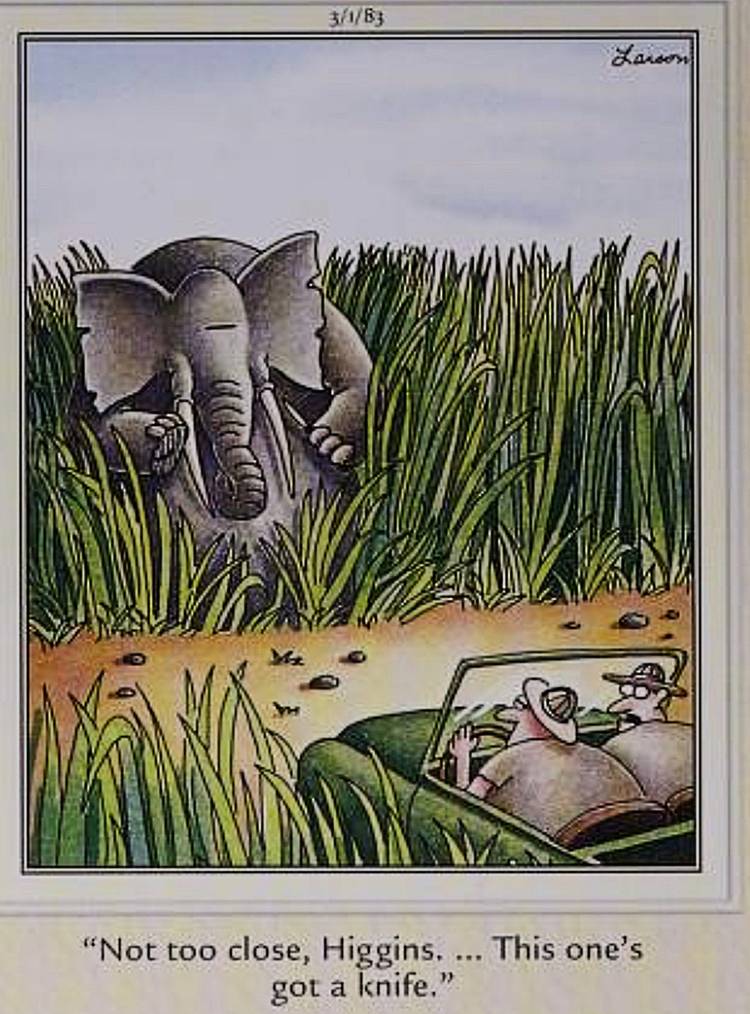 The Far Side: 15 Most Unforgettable Comics About Elephants