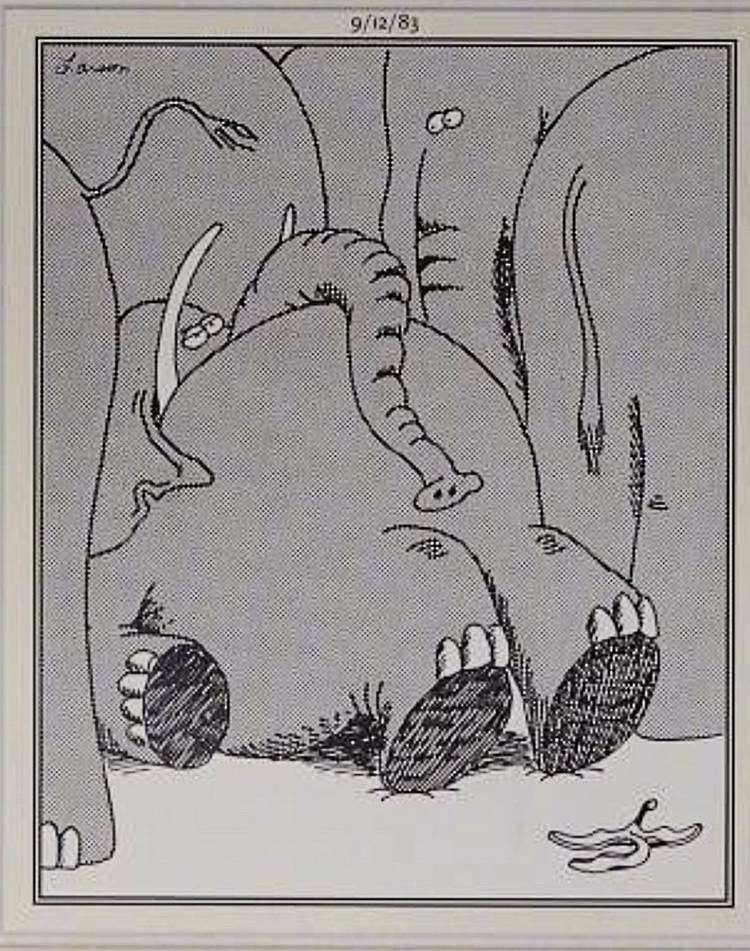 10 More Hilarious Far Side Comics That Don't Need A Caption To Get ...