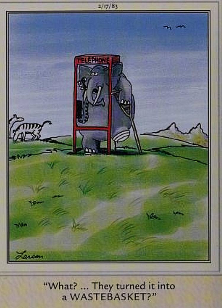 The Far Side: 15 Most Unforgettable Comics About Elephants