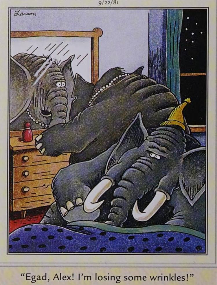 The Far Side: 15 Most Unforgettable Comics About Elephants