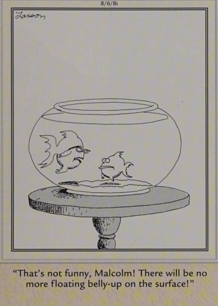 15 Funniest Far Side Comics About Goldfish