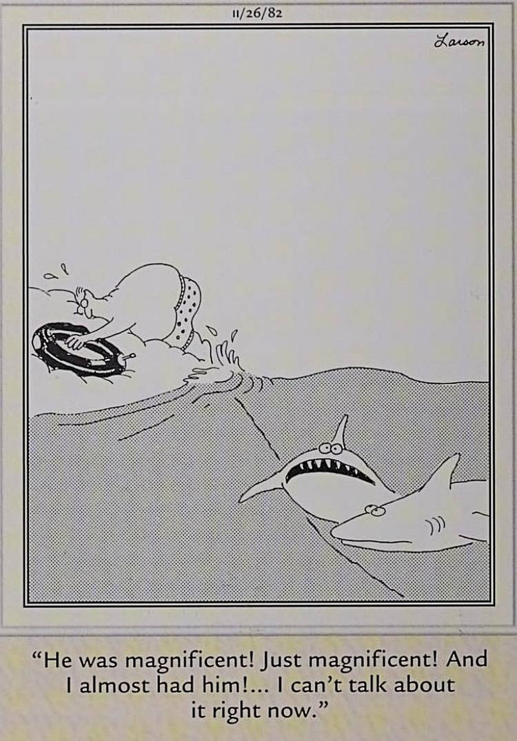 15 Funniest Far Side Comics About Sharks